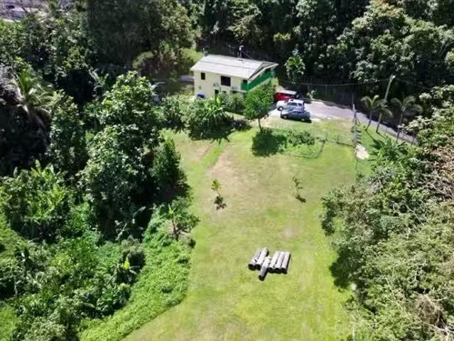 Bo Collores Carr#936 Km 1 0, Las Piedras, PR 00771 MLS PR911.