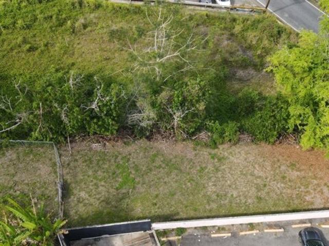 Bo Collores, Humacao, Plot For Sale