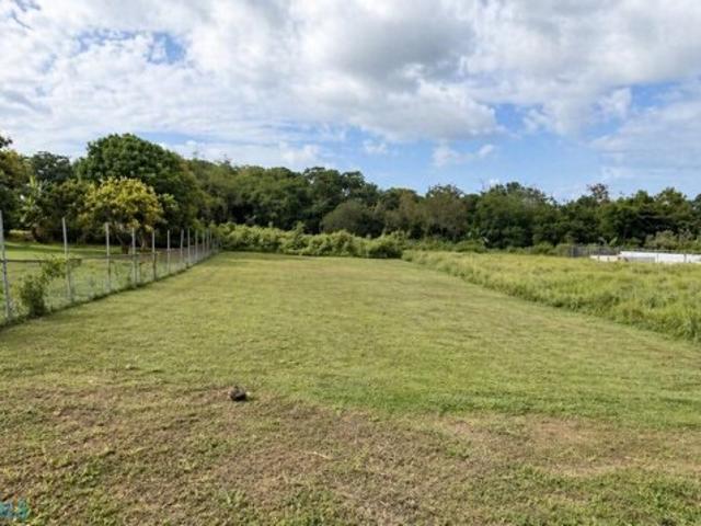 Bo Corrales, Aguadilla, Plot For Sale
