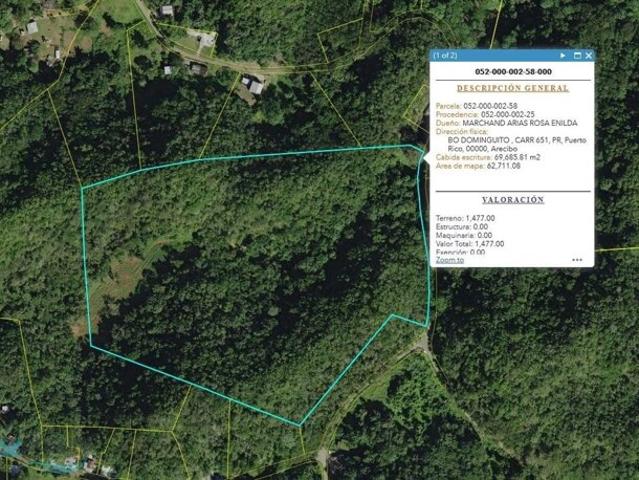 Bo Dominguito Carr #,arecibo, Plot For Sale