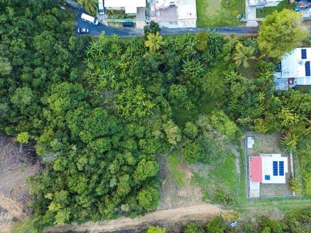 Bo Factor #,arecibo, Plot For Sale
