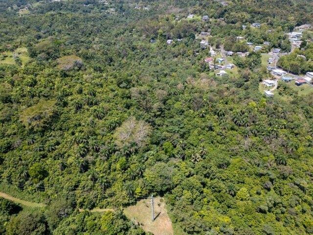Bo Galateo Carr Km #,toa Alta, Plot For Sale