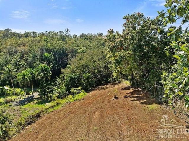 Bo Guayabo carr Km #,aguada, Plot For Sale