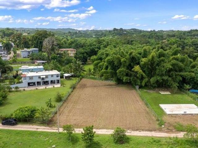 Bo Guayabo Carr Km #,aguada, Plot For Sale