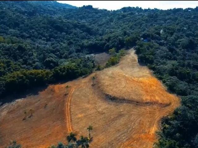 Bo Jaguey, Rincon, Plot For Sale