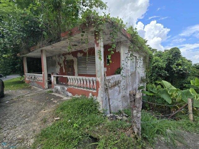 Bo Lomas, Canovanas, Home For Sale
