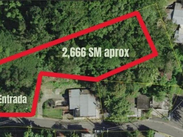 Bo Manati Abajo Sector Angostura Lote Lot,barceloneta, Plot For Sale