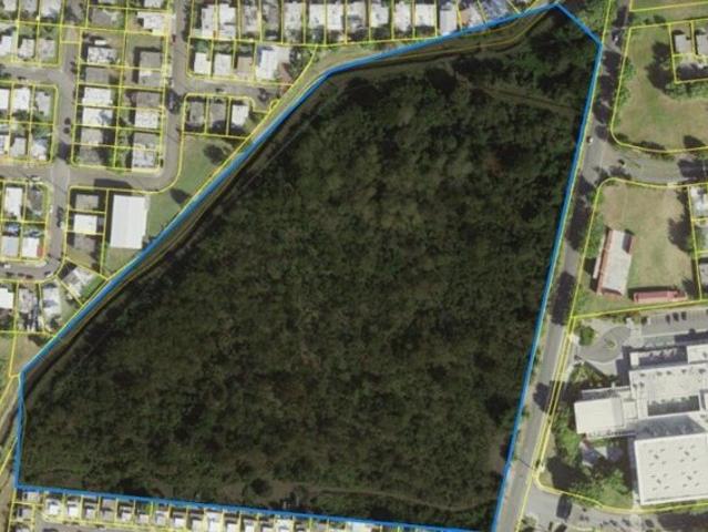 Bo Machete Carr #,guayama, Plot For Sale