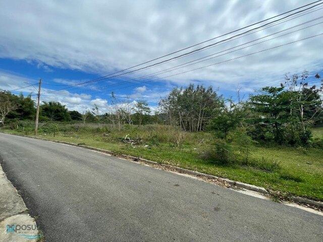 Bo Marias Anasco P R Unit,anasco, Plot For Sale