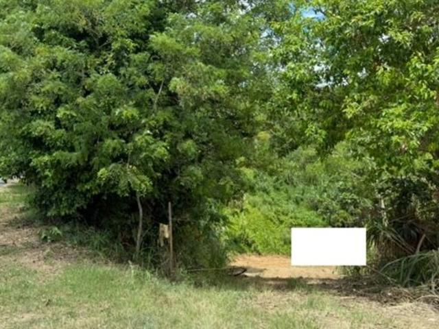 Bo Masas Ramal Km #,gurabo, Plot For Sale