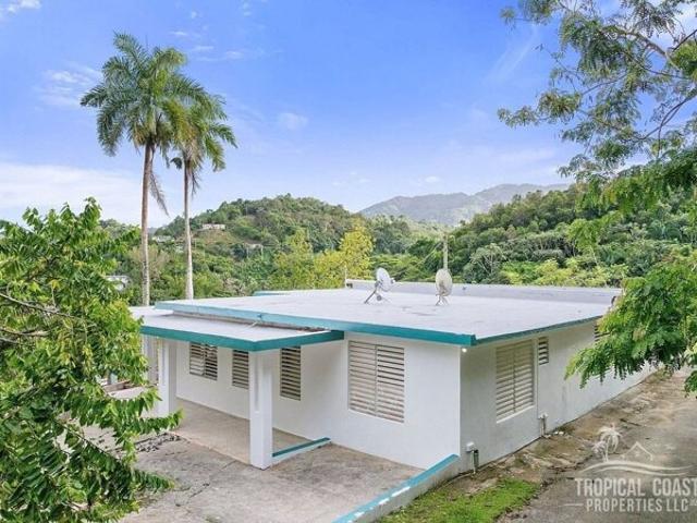 Bo Matuyas carretera P R Km #,maunabo, Home For Sale