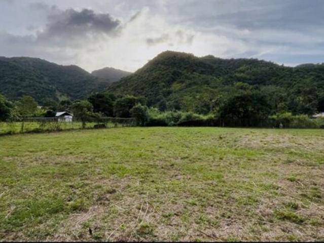 Bo Maton Abajo Carr Ramal Km Hm #,cayey, Plot For Sale