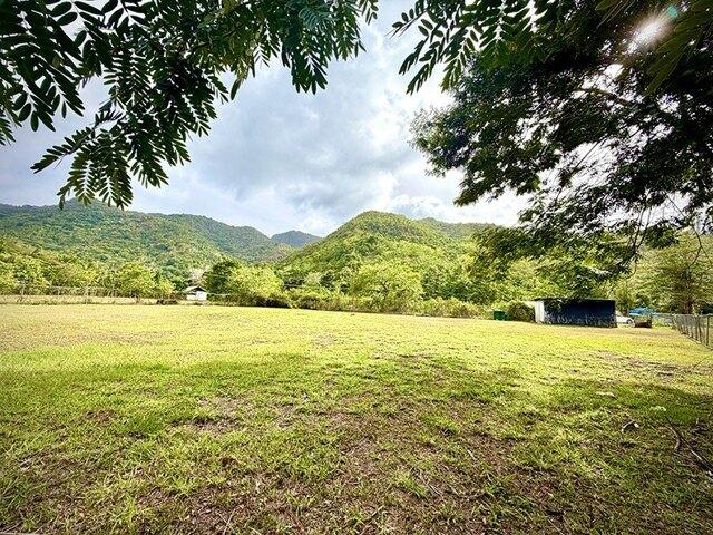 Bo Maton Abajo Carr Ramal Km Hm #,cayey, Plot For Sale