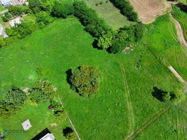 Bo Membrillo, Camuy, Plot For Sale