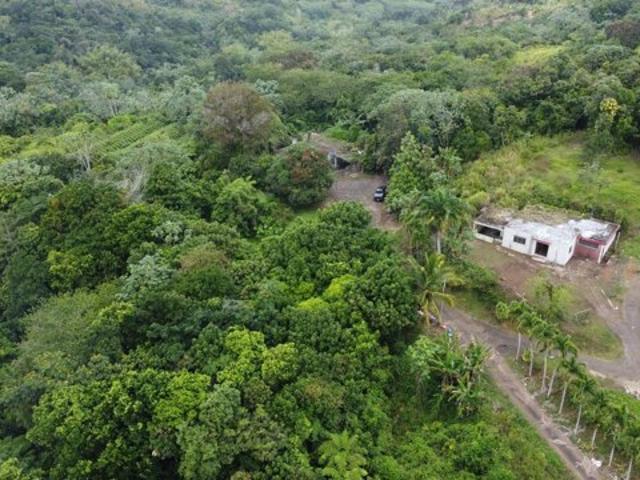 Bo Mirasol, Lares, Plot For Sale