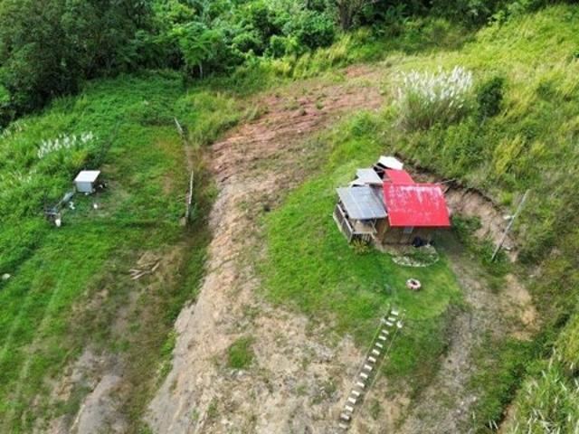 Bo Palo Hincado Carr #,barranquitas, Plot For Sale
