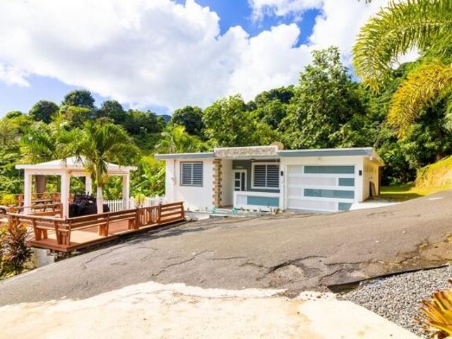 Bo Palo Seco Sector Chapala Carr Ramal #,maunabo, Home For Sale
