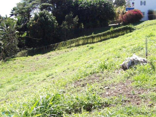 Bo Pozas Carr Km #,san Sebastian, Plot For Sale