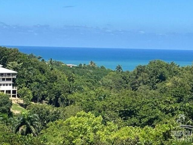 Bo Puntas carr Km #,rincon, Plot For Sale