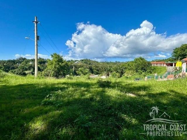 Bo Pueblo carr Solar # D, Rincon, Plot For Sale