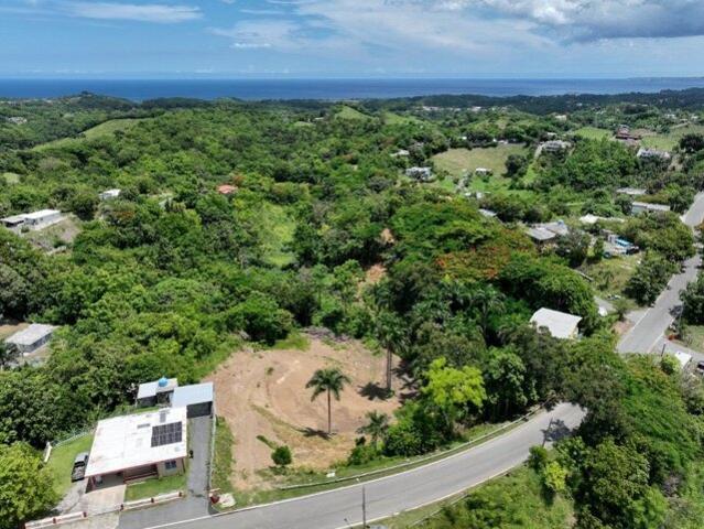 Bo Rio Grande Carr Km #,rincon, Plot For Sale
