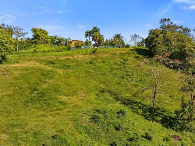 Bo Rio Grande carr solar # A, Rincon, Plot For Sale
