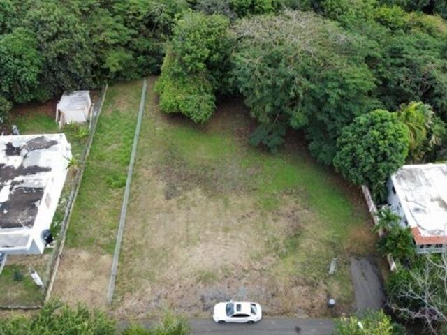Bo San Ildefonso Solar #,coamo, Plot For Sale