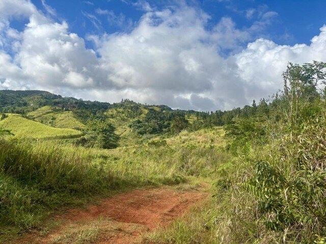 Bo Salto Carr Km Hm #,orocovis, Plot For Sale