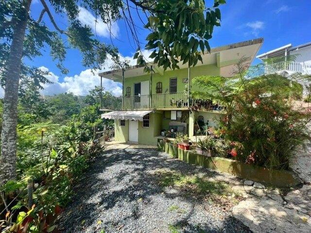 Bo Sonadora Unit,aguas Buenas, Home For Sale