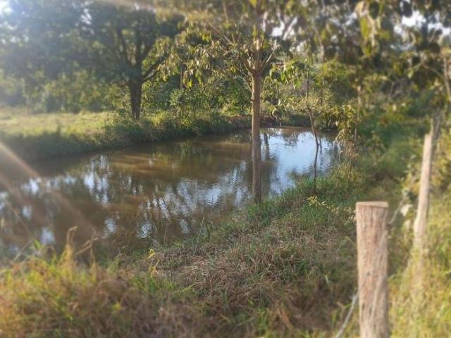 Bom para plantar café,rico em águas tambén