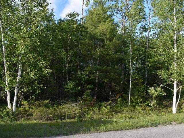 Bonita Dr, Presque Isle, MI 49777