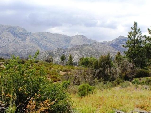 Bonita Vista Rd, Mountain Center, CA 92561