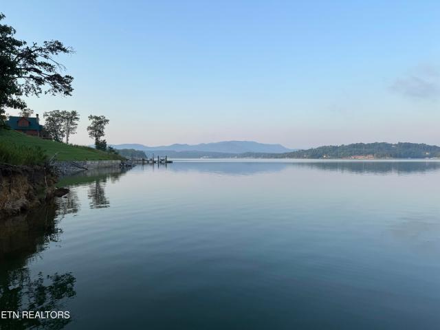 Bonnevista Drive, White Pine, TN 37890
