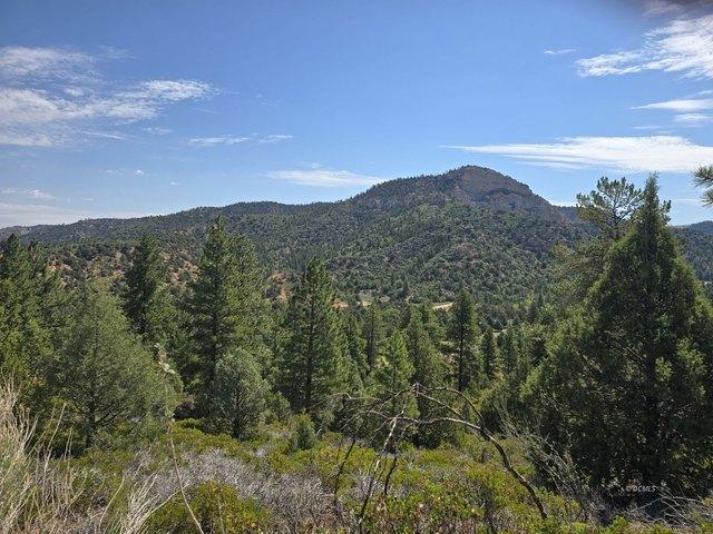 Bonnie Green Dr # 12 Duck Creek Village, UT 84762