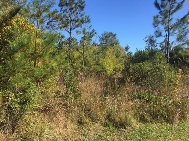 Bonnie Ln Lot 3, Covington, LA 70433