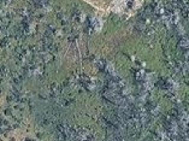 Bonnie Meadow Ln, Berry Creek, CA 95916