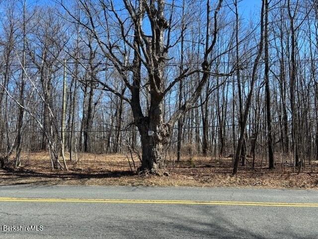 Bonny Rigg Hill Rd, Becket, MA 01223