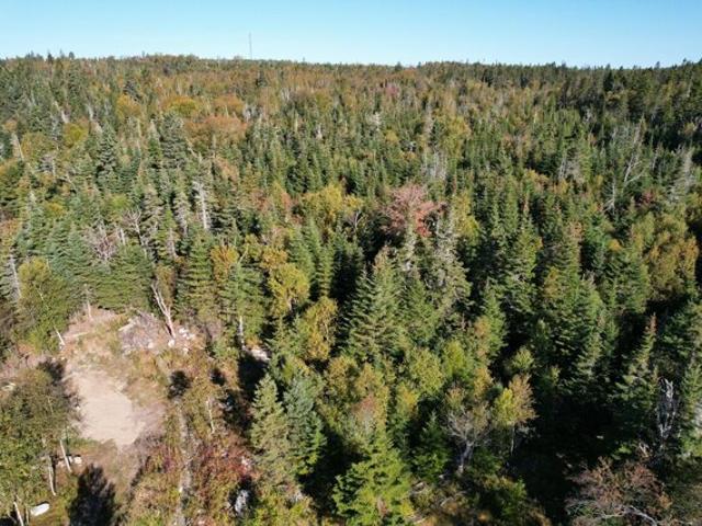 Boot Cove Rd Lot H, Lubec, Plot For Sale