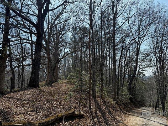 Boot Hill Rd Lots 1 & 2, Whittier, NC 28789