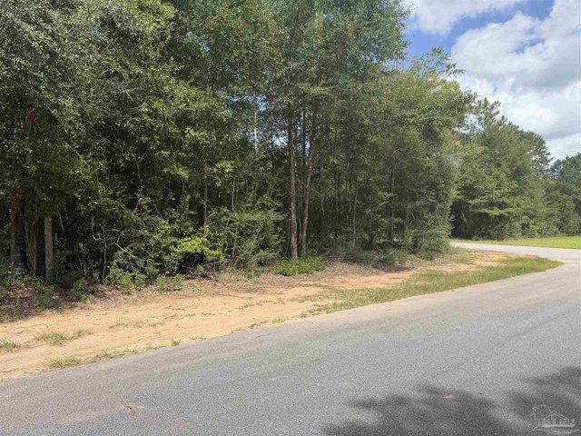 Boots Ln, Milton, FL 32570