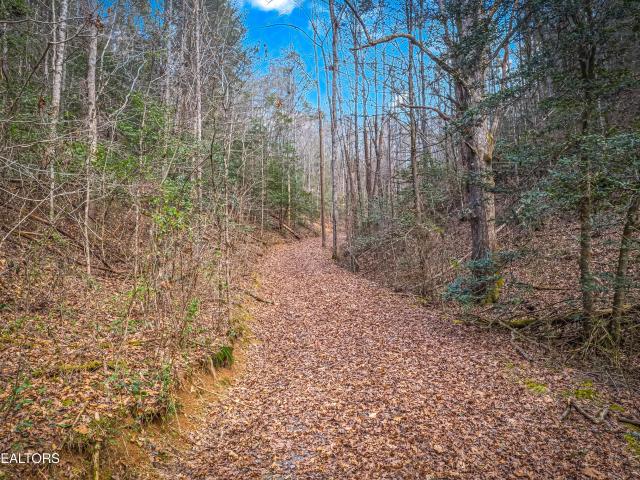 Boogertown Rd, Sevierville, TN 37876