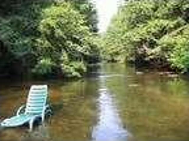 Book Now For Leaf Season!