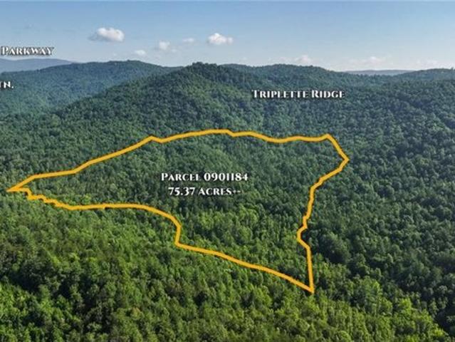 Boone Trl, Purlear, NC 28665