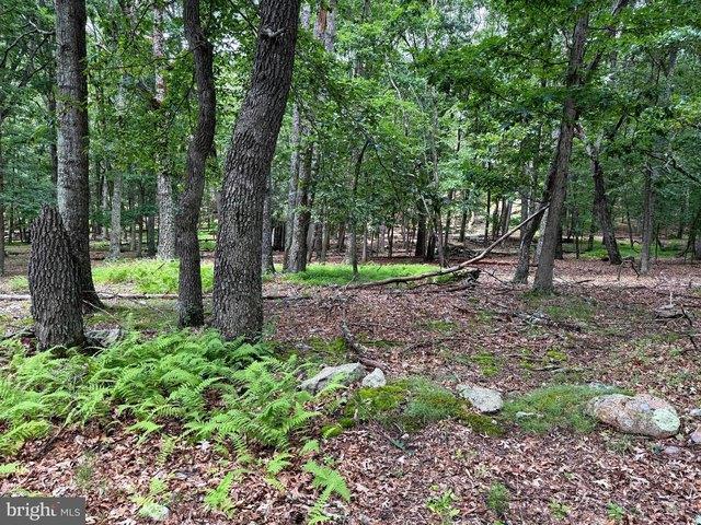 Boonedock Dr Lots 27 & 28, Upper Tract, WV 26866