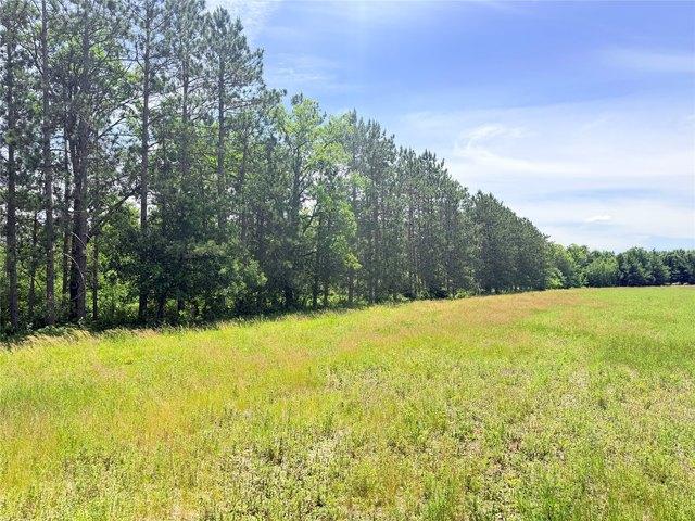Boat Landing Rd, Ladysmith, WI 54848