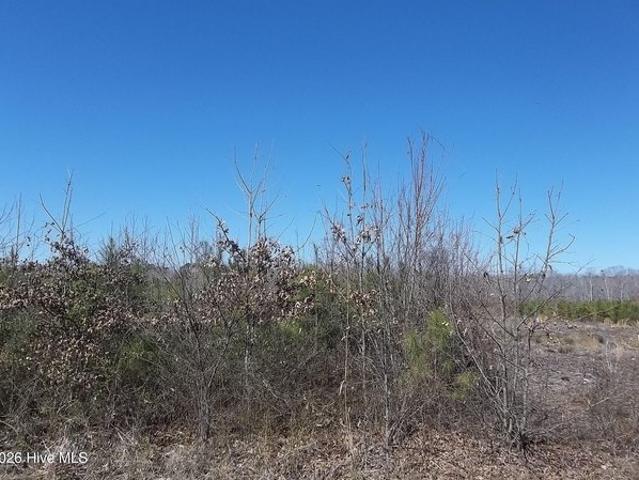 Boat Ramp Rd Lot 5, New Hope, NC 27944