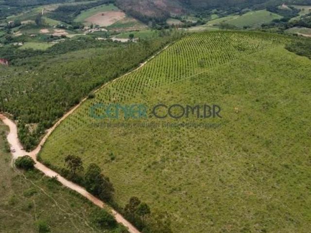 boa Fazenda de 110 Há para agricultura e pecuária em Belo Vale MG
