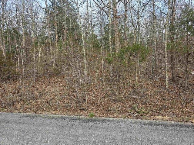 Boanna # L26, Cherokee Village, AR 72529