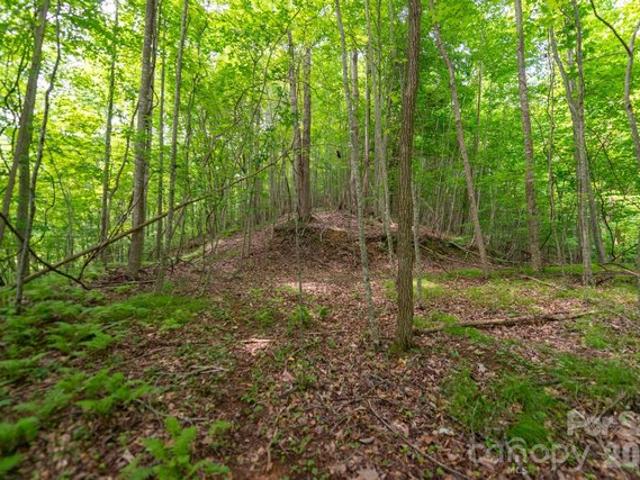Board Tree Rd Unit 2, Marshall, NC 28753