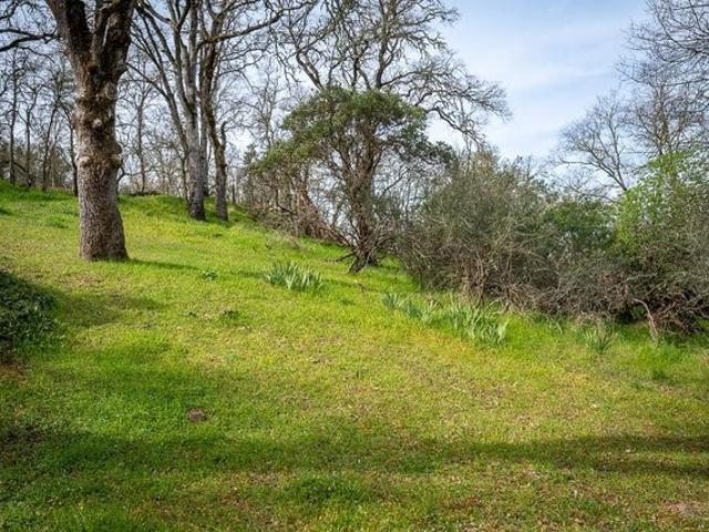 Boarman, Jackson, CA 95642